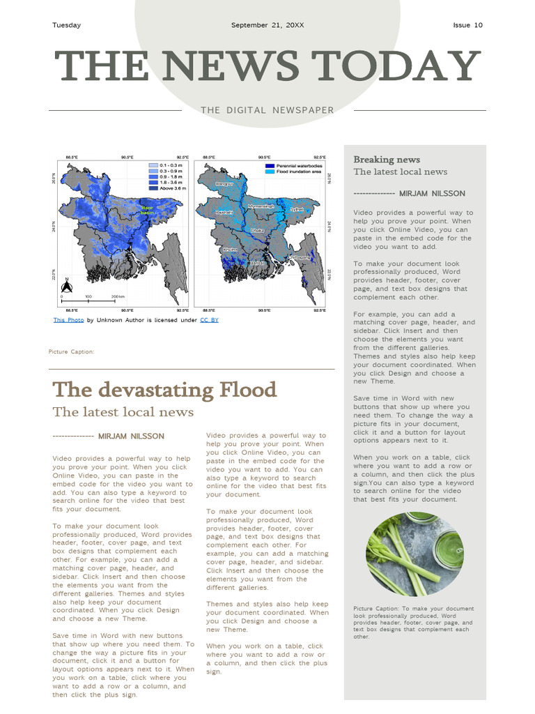 News Article Template | PDF