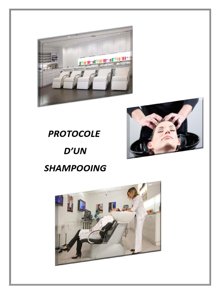 Protocole Du Shampooing Simple | PDF