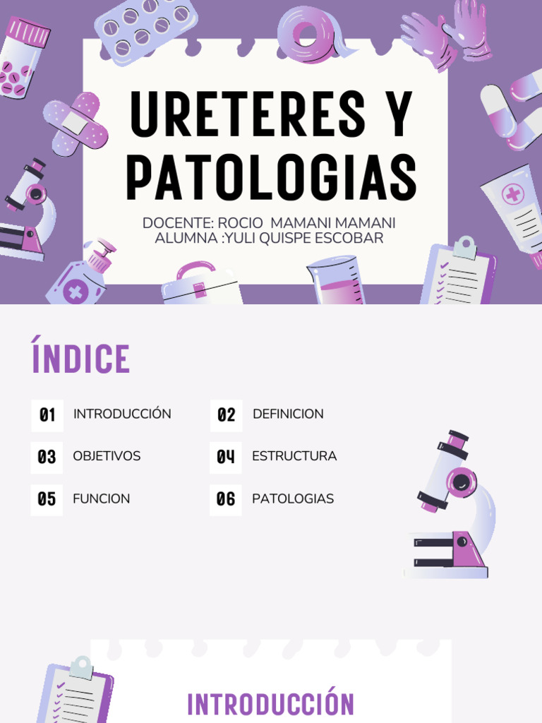 Revisión Con La Matrona | PDF