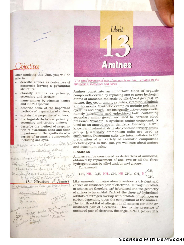 Amines | PDF