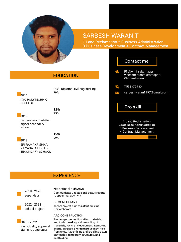 Professional Resume | PDF