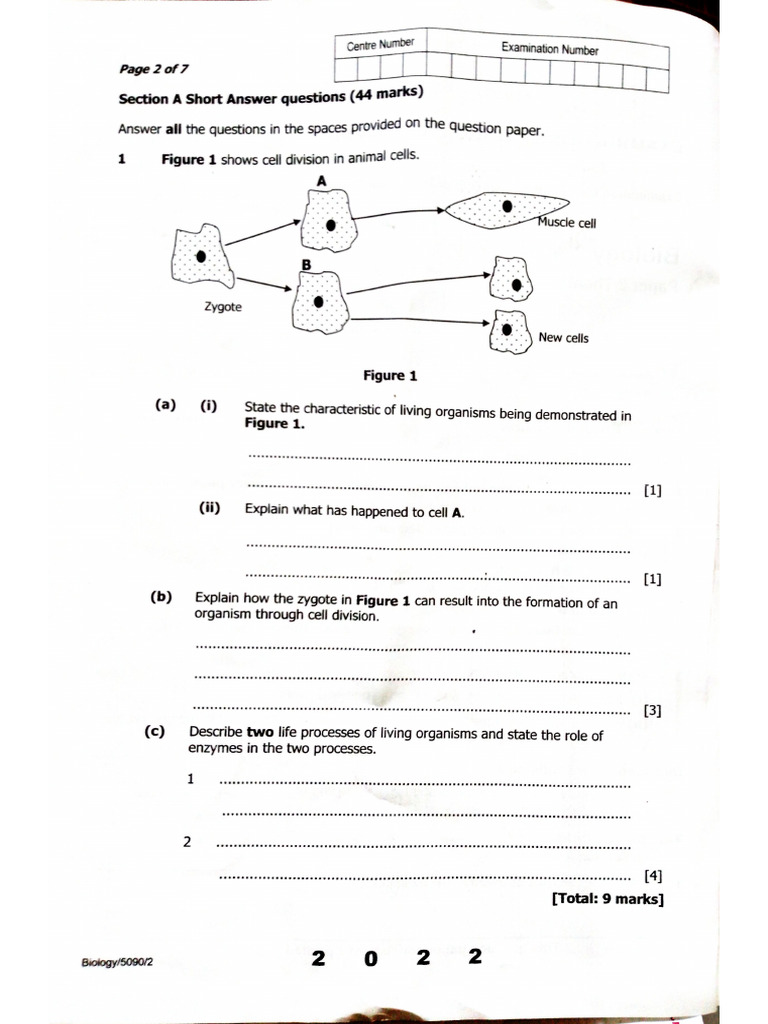 Biology Paper 2 | PDF