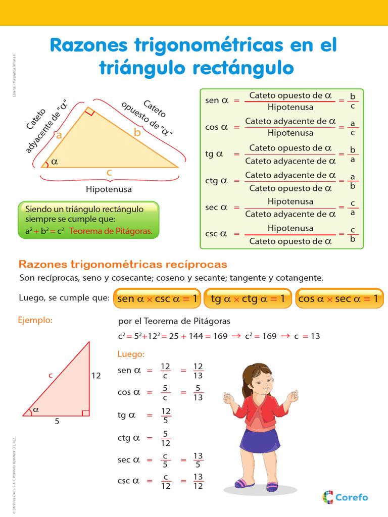 LÁMINA - Razones Trigonométricas de Un Ángulo Rectángulo | PDF ...