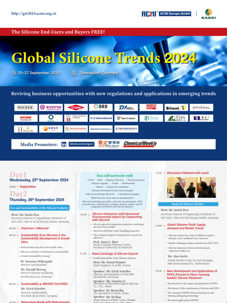 Global Silicone Trends (GST 2024) | PDF