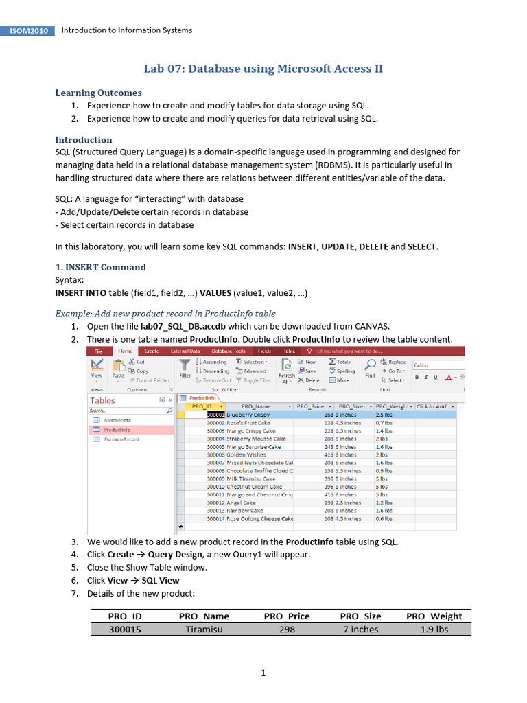 Lab07 SQL Manual | PDF