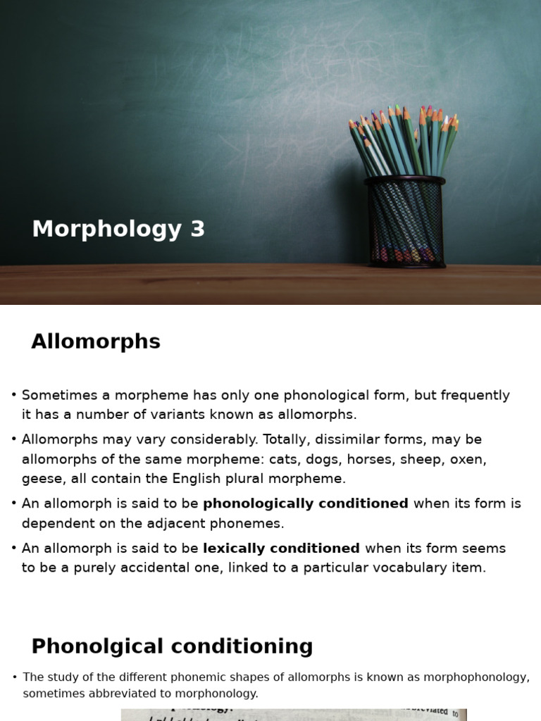 Morphology 3 | PDF