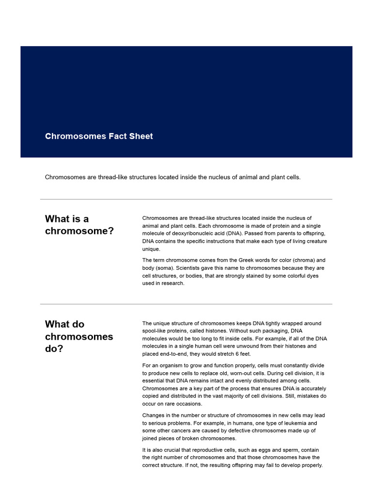 Chromosomes Fact Sheet | PDF