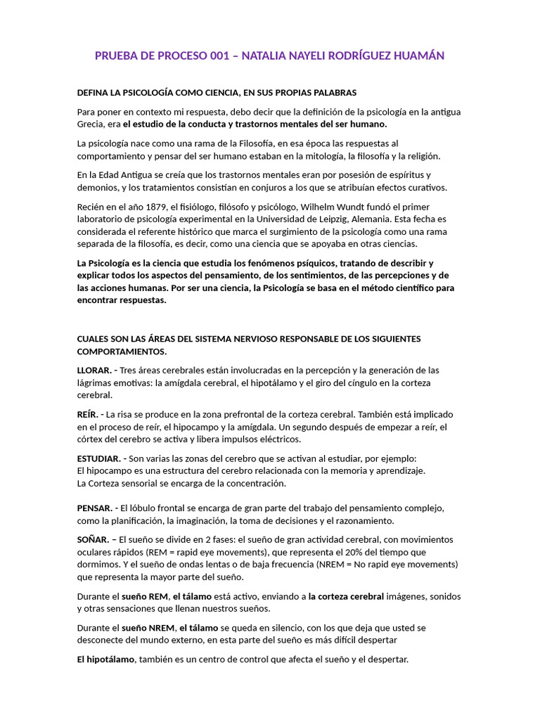 Prueba de Proceso 001 - Natalia Rodriguez | PDF