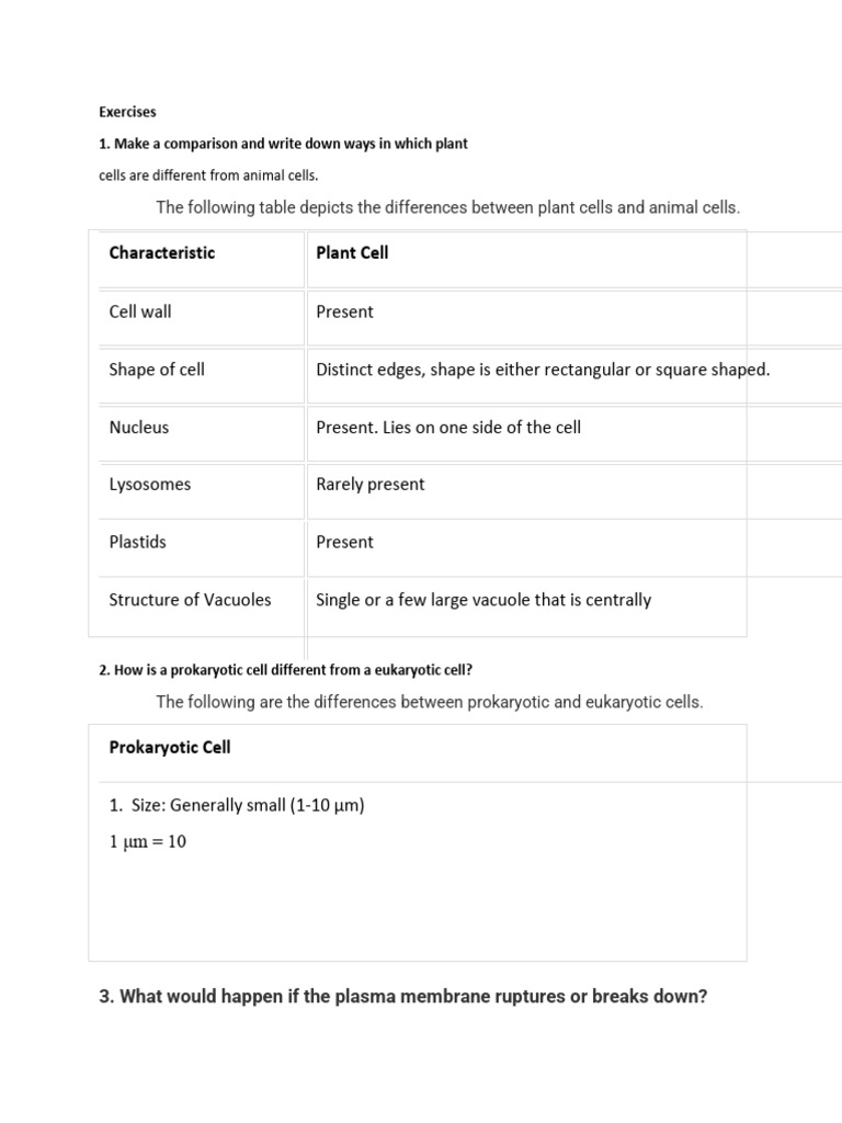 Characteristic Plant Cell: The Following Table Depicts The Differences ...