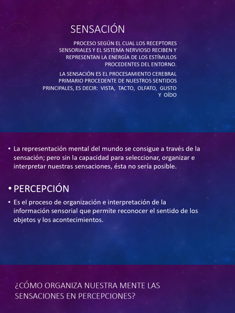 Percepcion PowerPoint | PDF