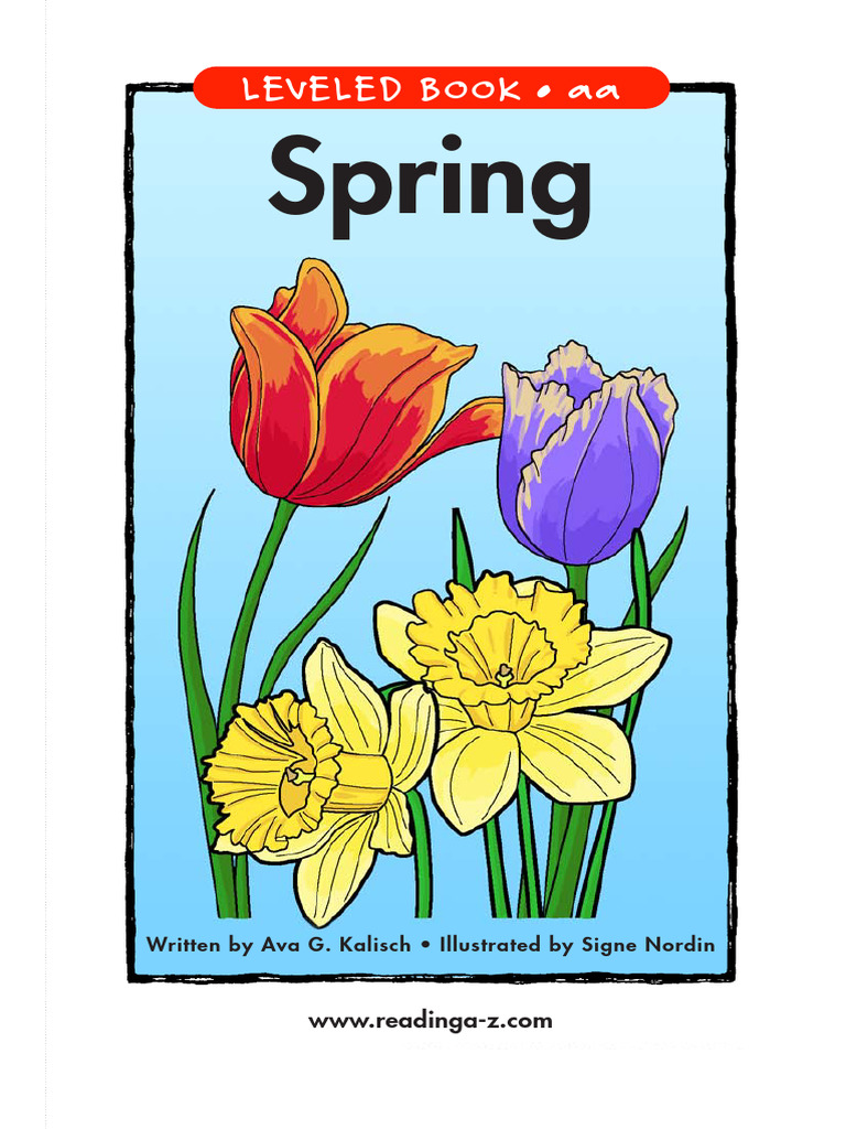 Raz Laa48 Spring | PDF