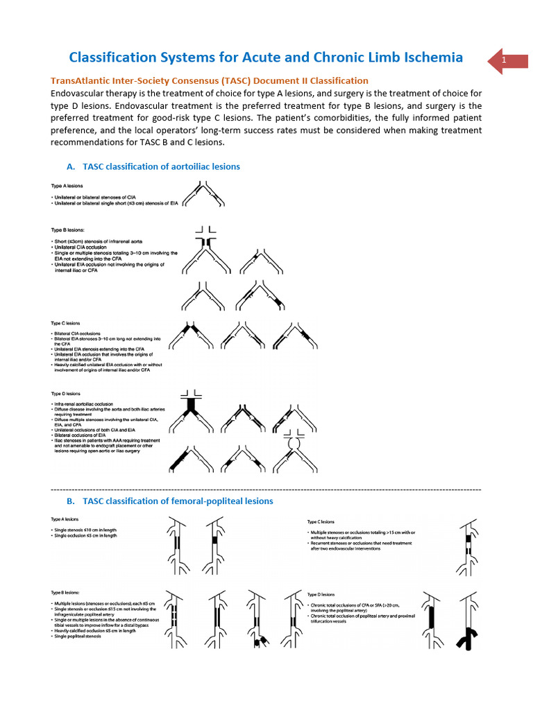 Classification Systems For Acute and Chronic Limb Ischemia | PDF