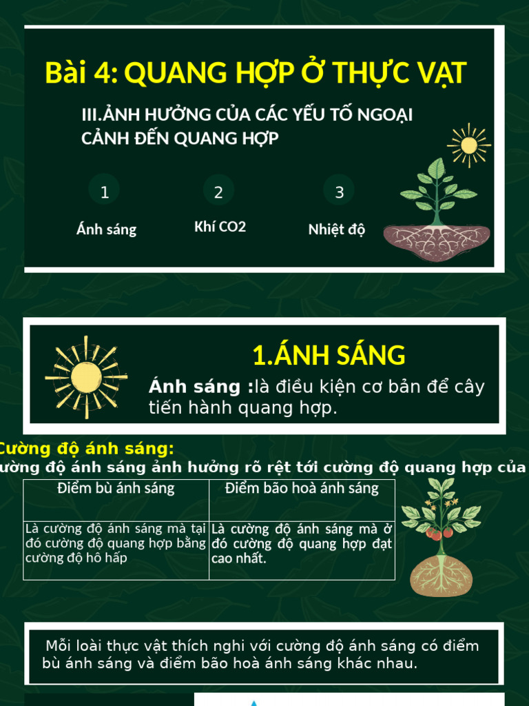 NHÓM 3-Bài 4 M C 3 | PDF