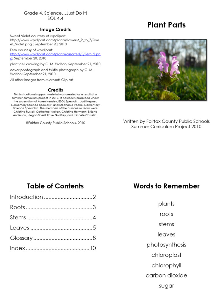 Lilith Nees - R00421B - Plant - Parts | PDF