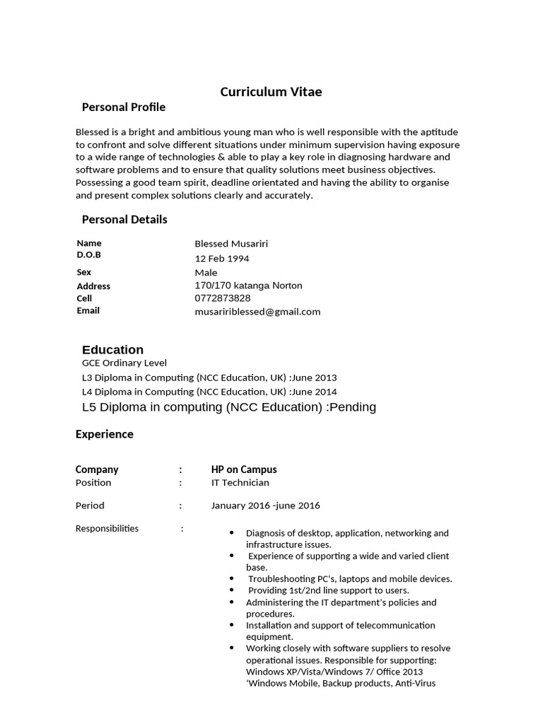 CurriculumVitae 1 | PDF