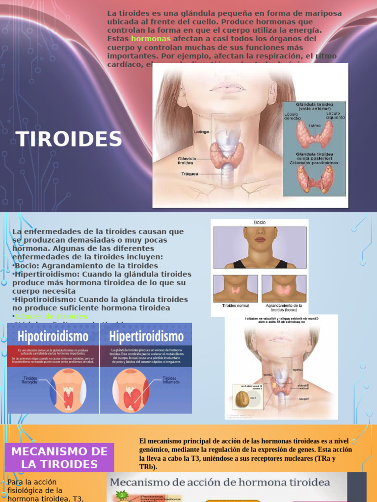 Tiro Ides | PDF