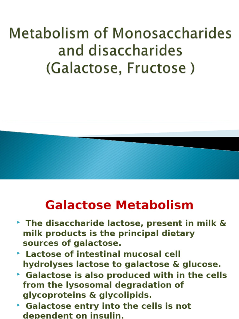 Galactose and Fructose Metabolism Overview | PDF