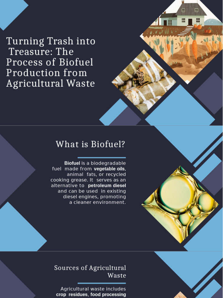 Biofuel From Agricultural Watse | PDF