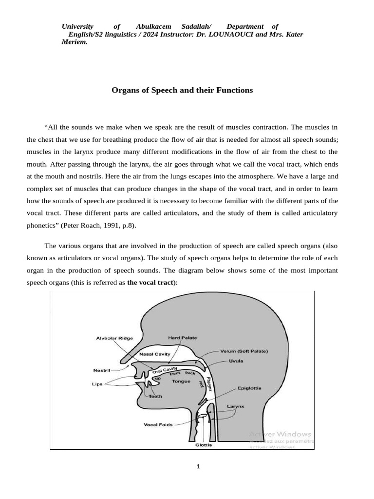 Lesson Two Phonetics - Dr. LOUNAOUCI | PDF