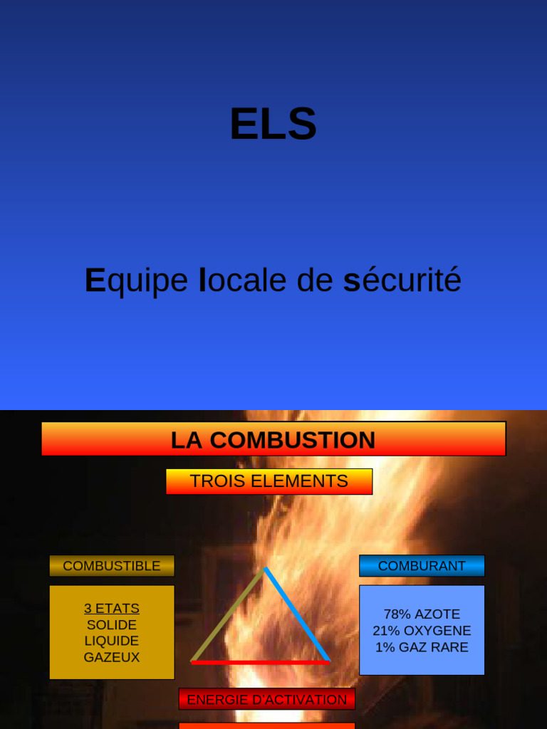 Formation ELS | PDF