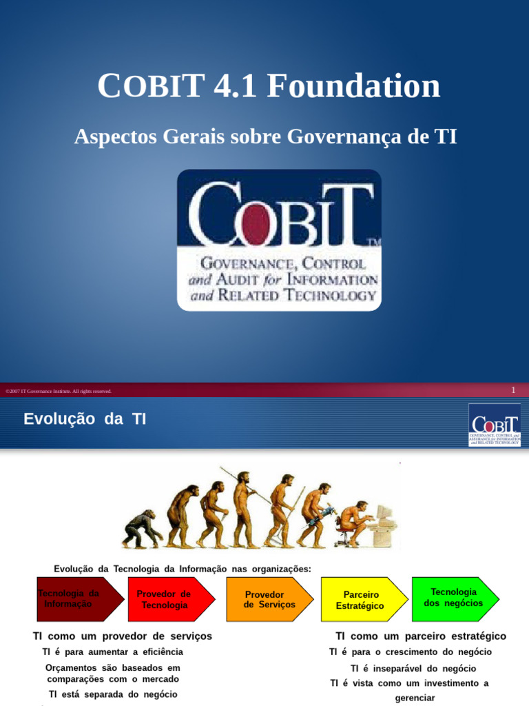 Cobit Full V3 | PDF