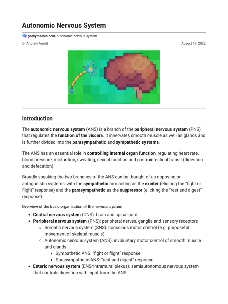 Autonomic Nervous System Sympathetic Parasympathetic Geeky Medics