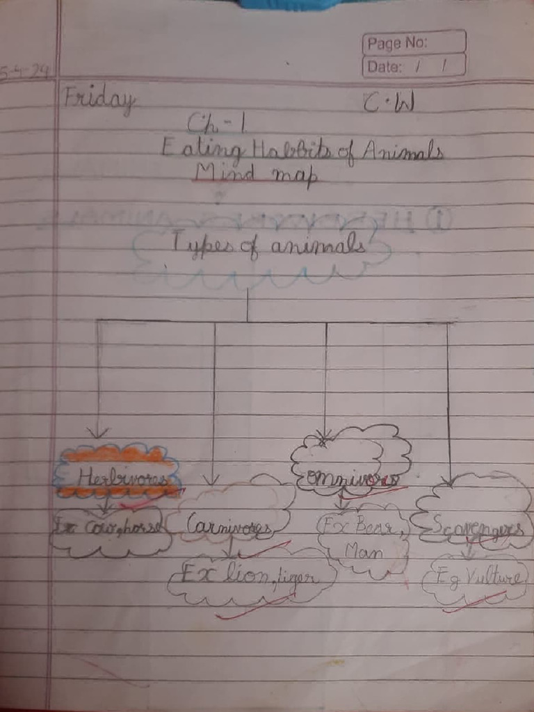 Abc Science Work | PDF