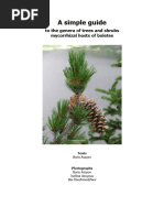 Understanding Tree Definitions and Types | PDF | Trees | Organisms