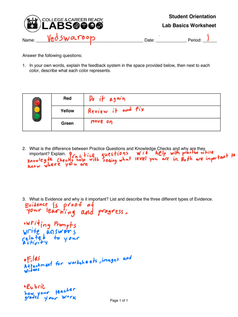 Lab Basics Worksheet | PDF