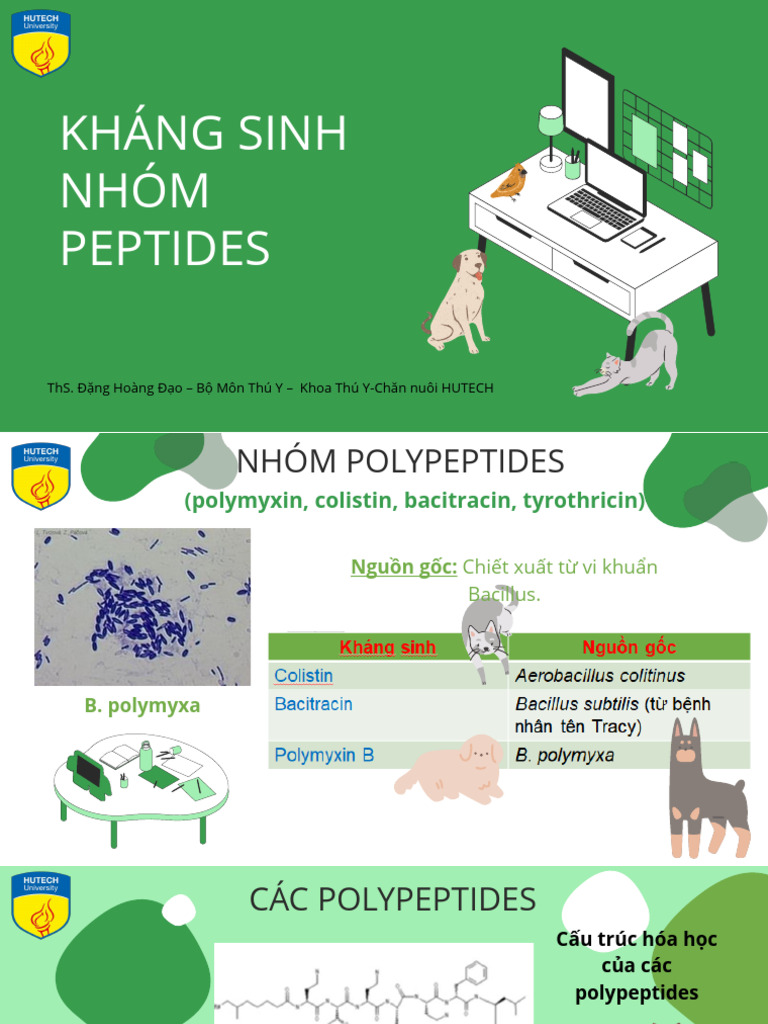 Chương Kháng Sinh 4 (Peptid) | PDF
