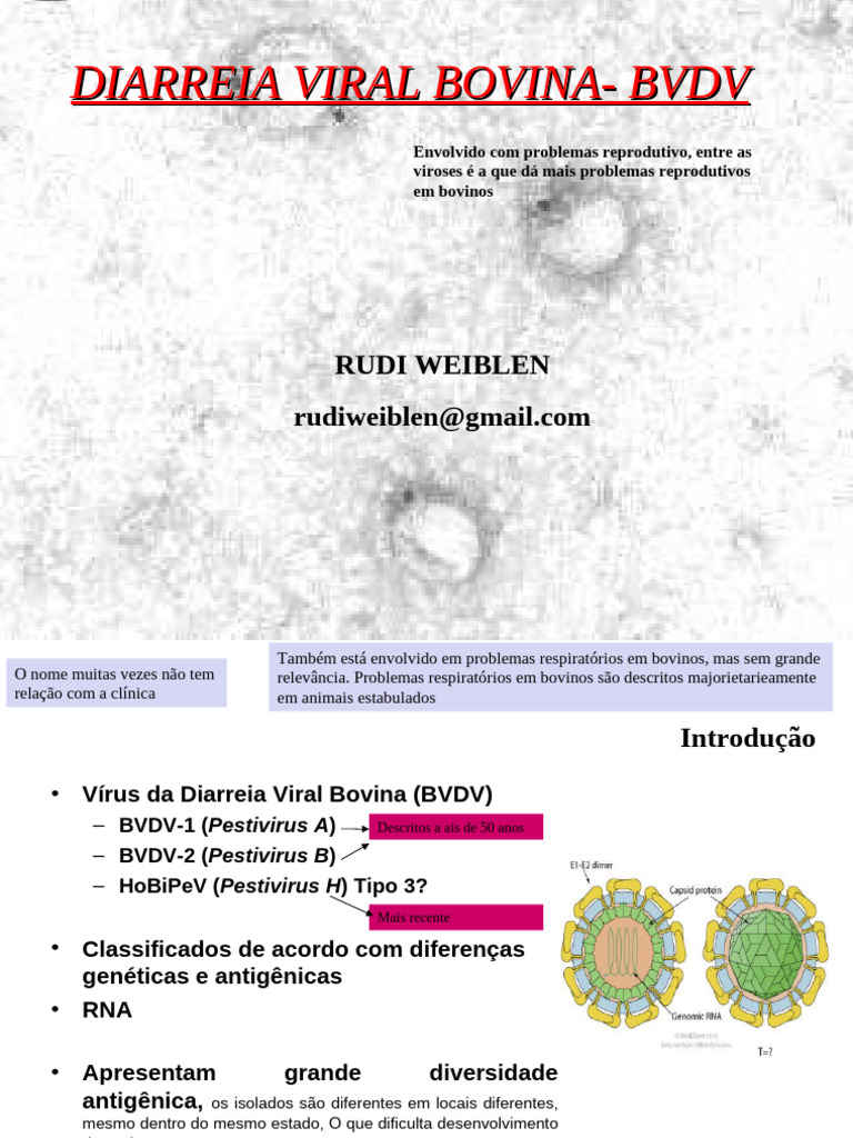 Aula BVD | PDF