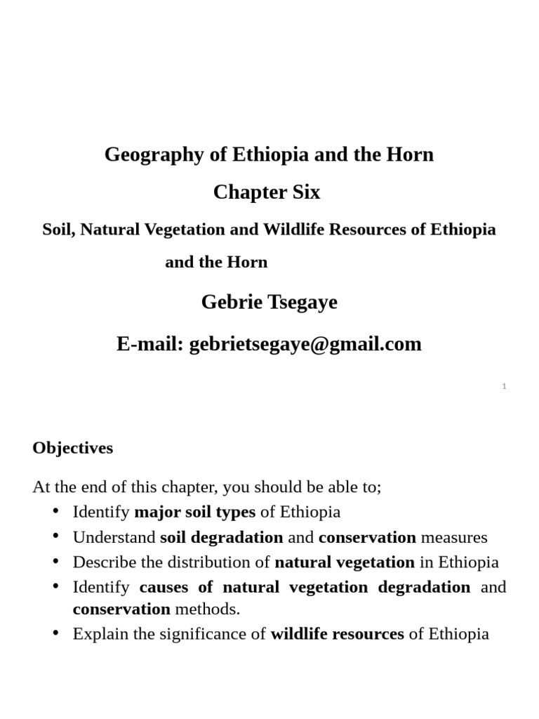 Chapter 6 Pdf