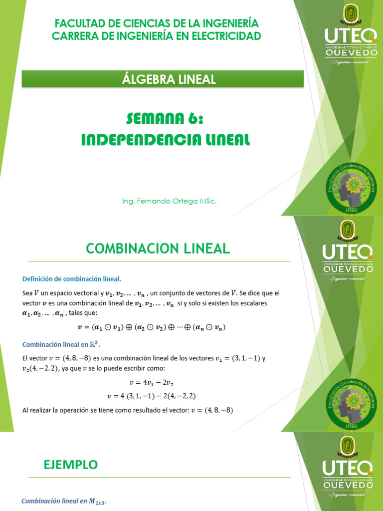 S6 - Independencia Lineal | PDF
