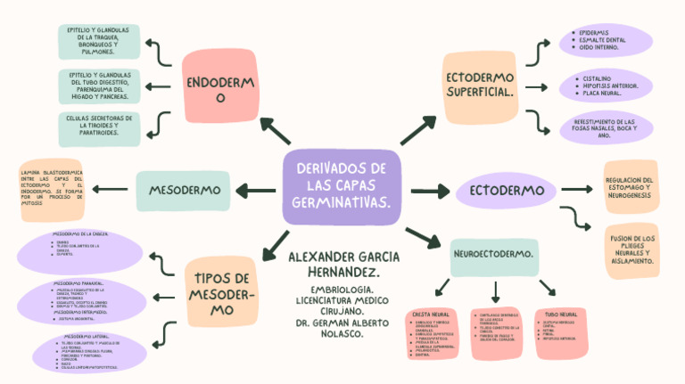 Derivados de Capas Embrionarias. | PDF
