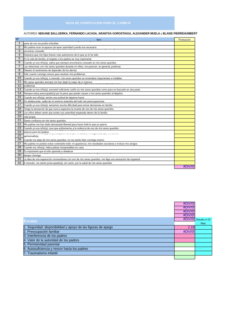 CAMIR-R Plantilla de Correcion | PDF