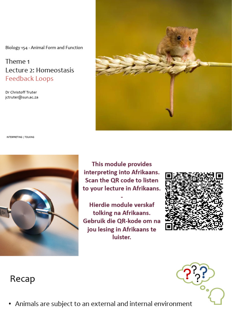 Lect 2_Bio154_Animal Form and Function | PDF