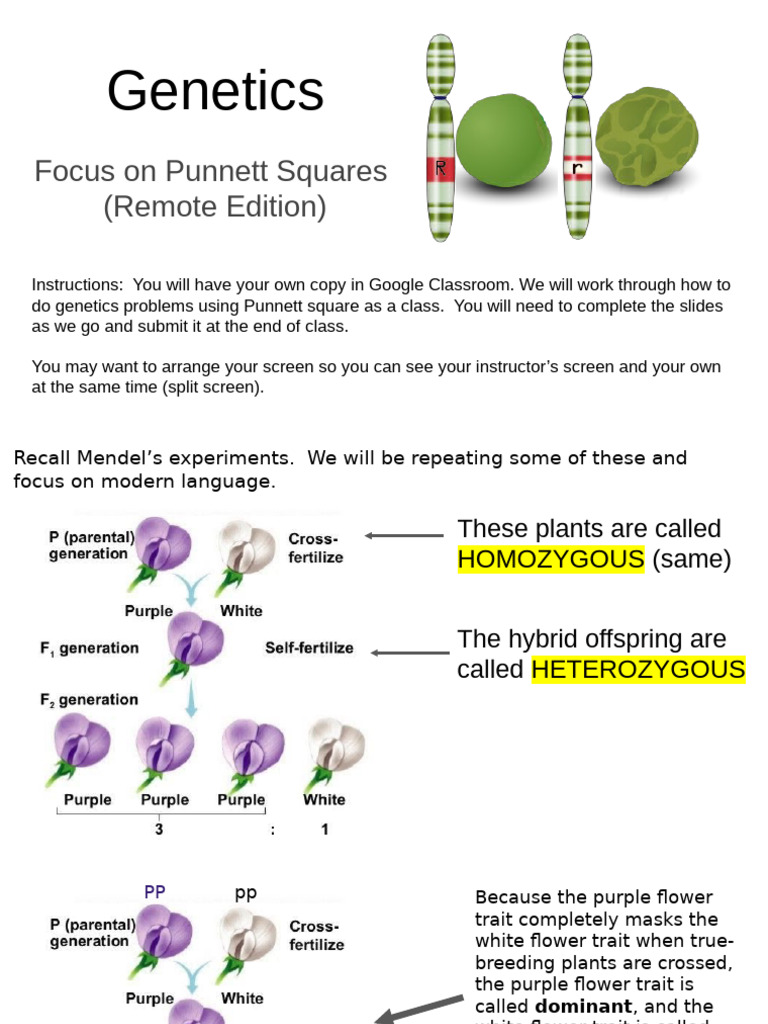 1.1 Mendelian Genetics | PDF