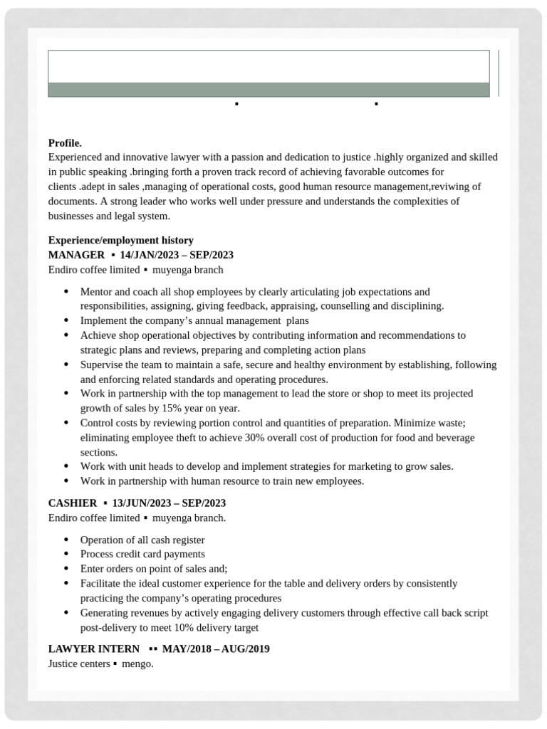 Elly Cv Updated | PDF