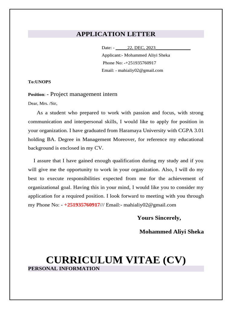 Mohammed Aliyi Sheka MNGMNT CV (3) - 1 | PDF