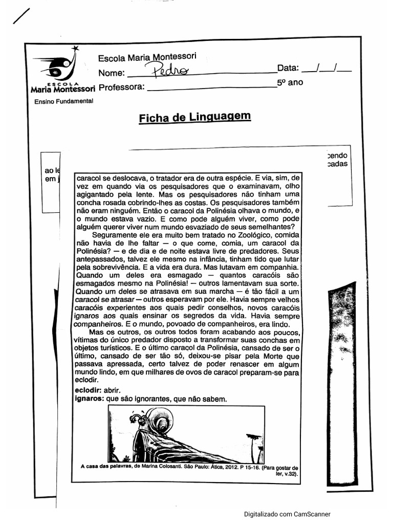 2022_06_03_Linguagem | PDF