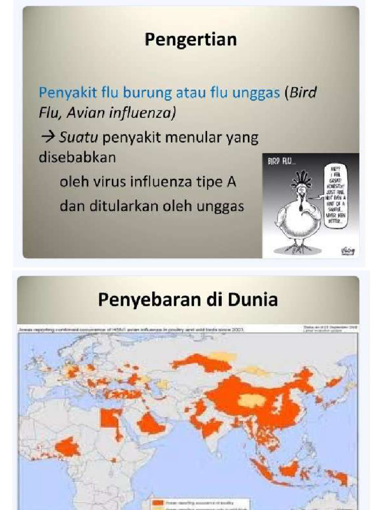 Flu Burung | PDF