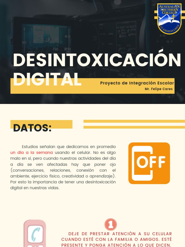 Desintoxicación Digital | PDF