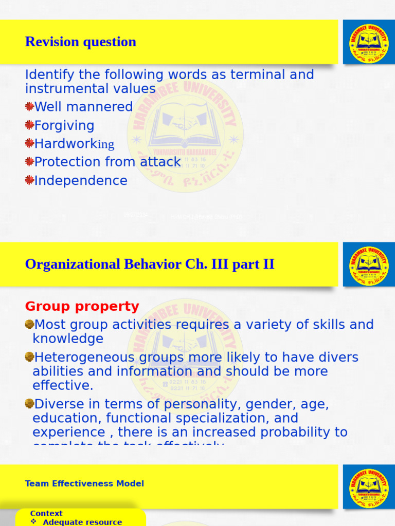 OB PPT Lecture | PDF | Career & Growth | Leadership