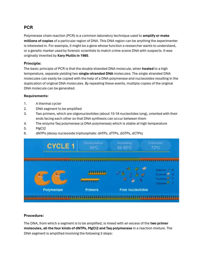 Principle:: Amplify or Make Millions of Copies | PDF