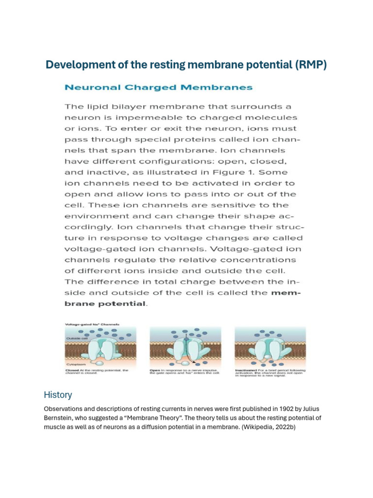 Assignment Neuro | PDF