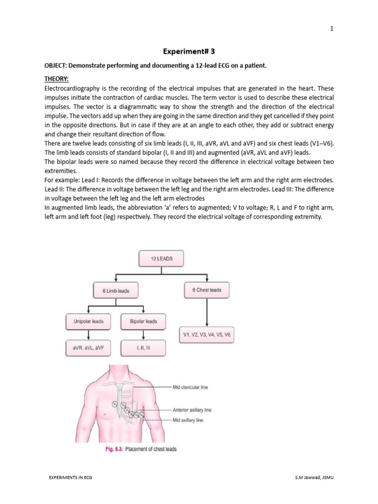 ECG Exp | PDF