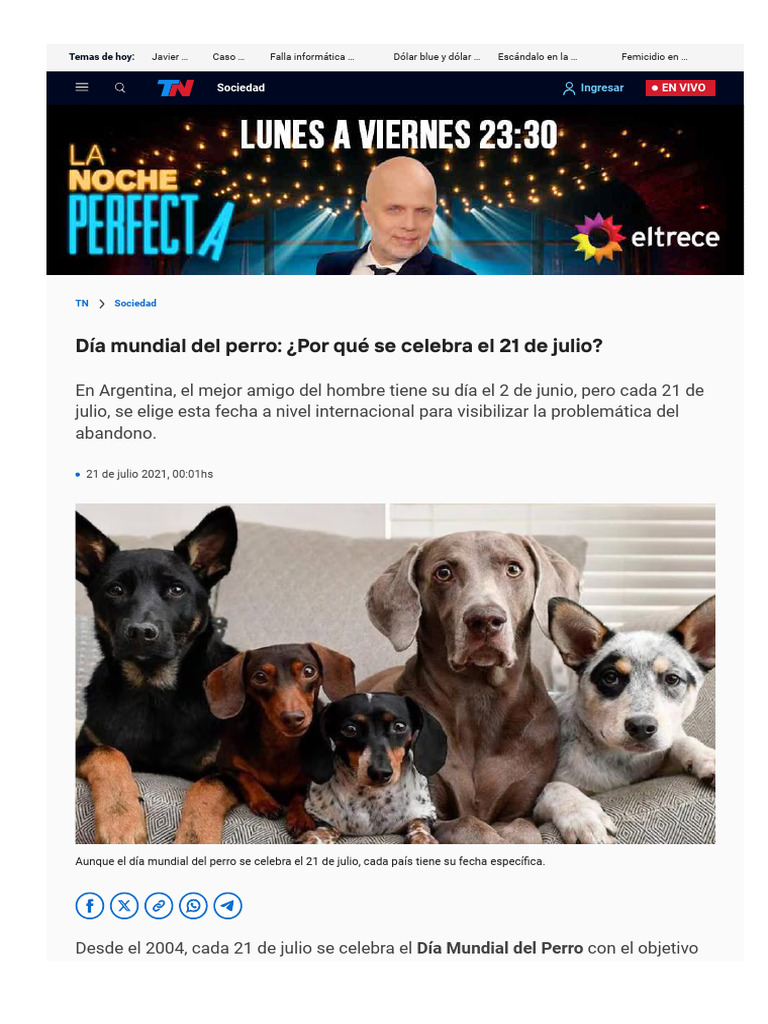 Tn-Com-Ar-Sociedad | PDF