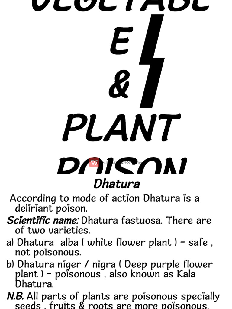Plant & Vegetable Poison | PDF