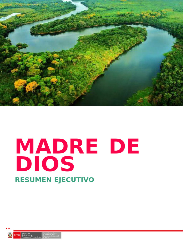 Resumen Ejecutivo Madre de Dios | PDF