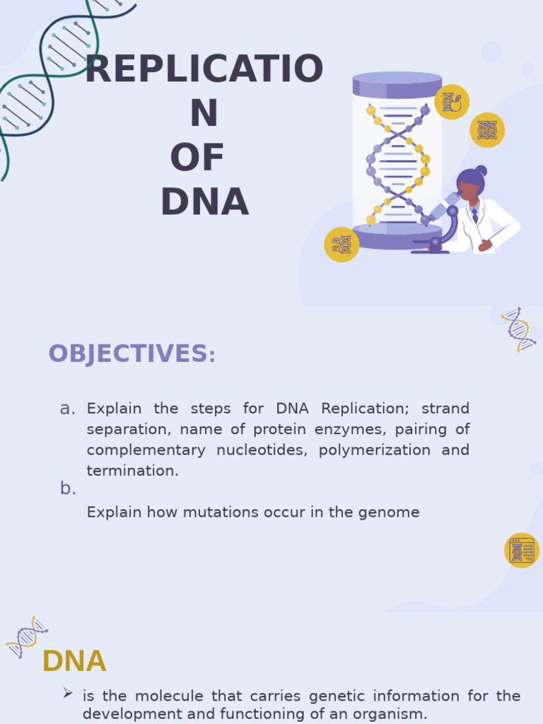 Mayo- DNA Replication & Mutation | PDF